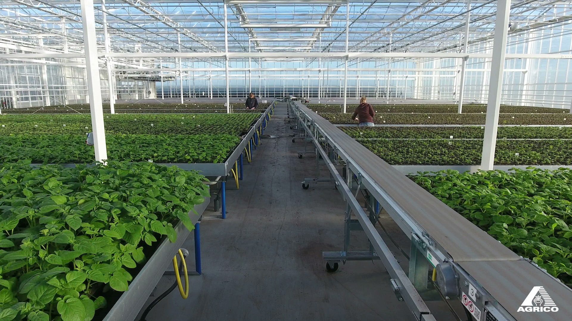 Agrico, the power of partnership in the development of innovative ...