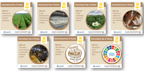 International Day of Potato | Europatat
